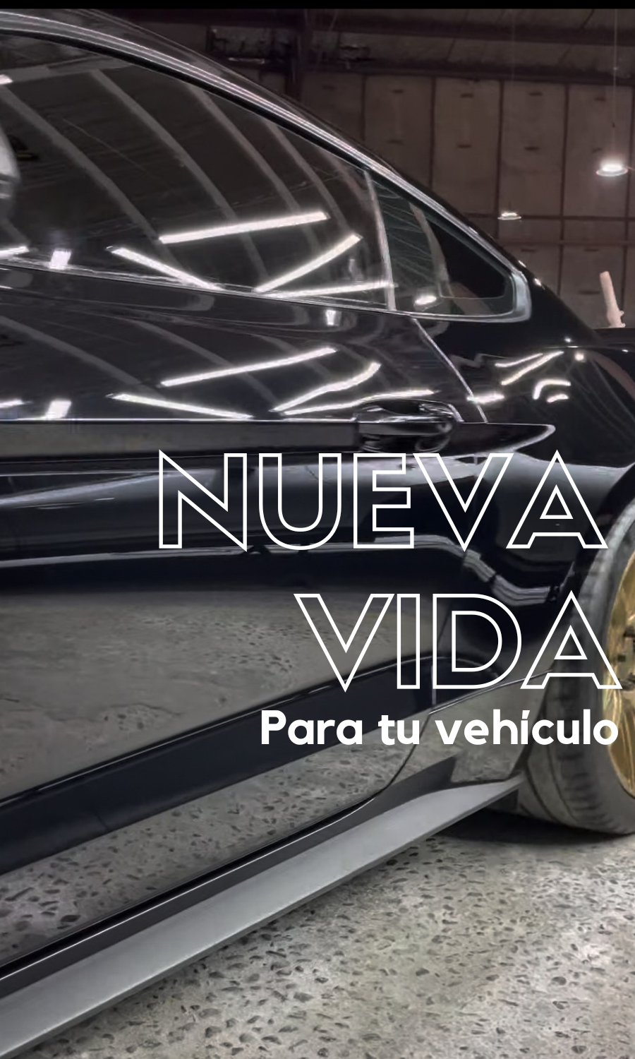 Detailing Chile - Expertos en Estética Automotriz